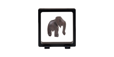 Keräilytarvikkeet Suomen Moneta – keräilijän kumppani, rahojen ja ...